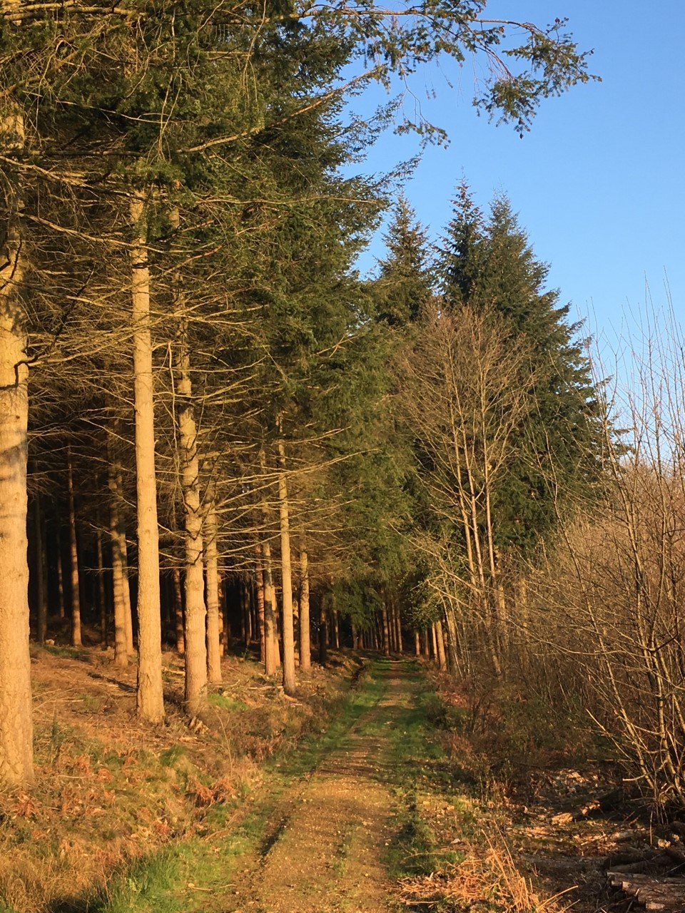 Walk | Guy Portman's Blog